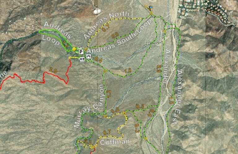 Indian Canyons Hiking Trails in Palm Springs | Scenic Outdoor Adventures