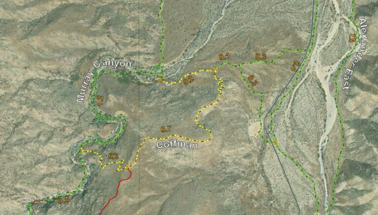 Indian Canyons Hiking Trails in Palm Springs | Scenic Outdoor Adventures